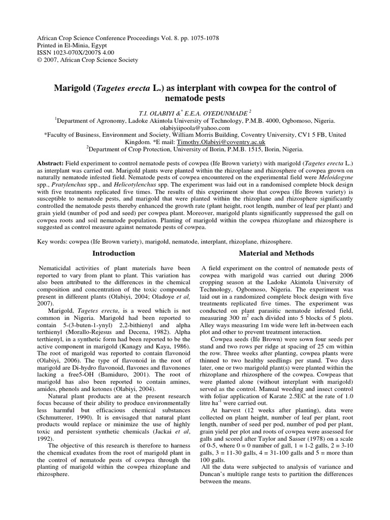 Marigold (Tagetes Erecta L.) As Interplant With Cowpea A Control of ...