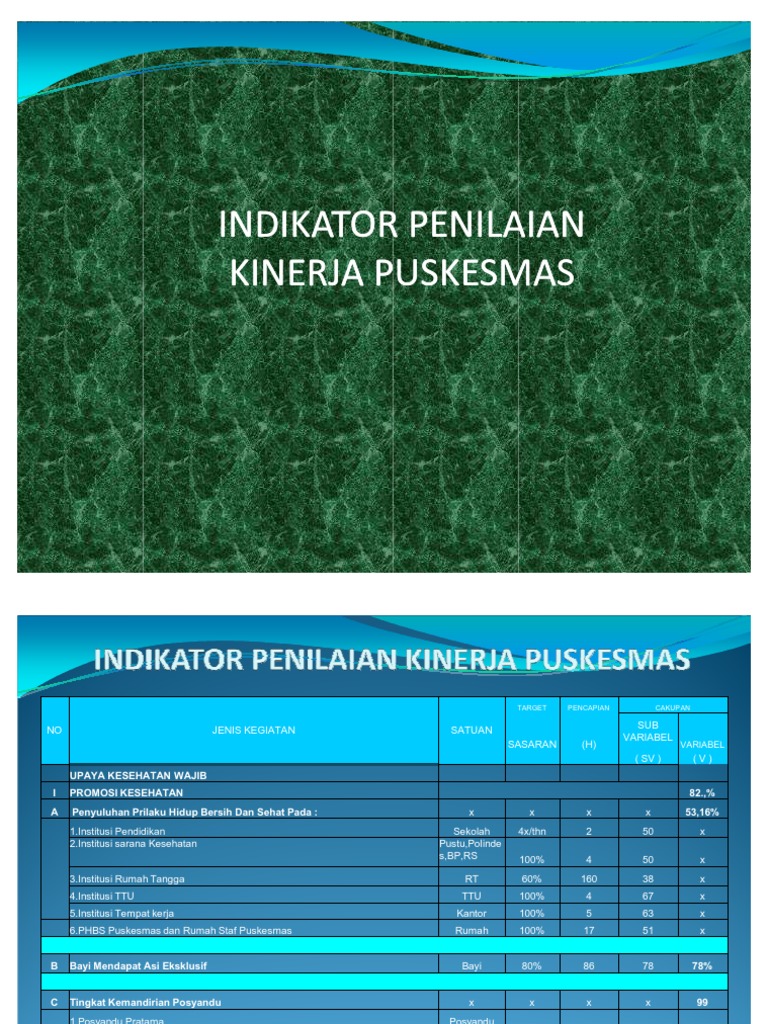 Indikator Penilaian Kinerja Puskesmas | PDF
