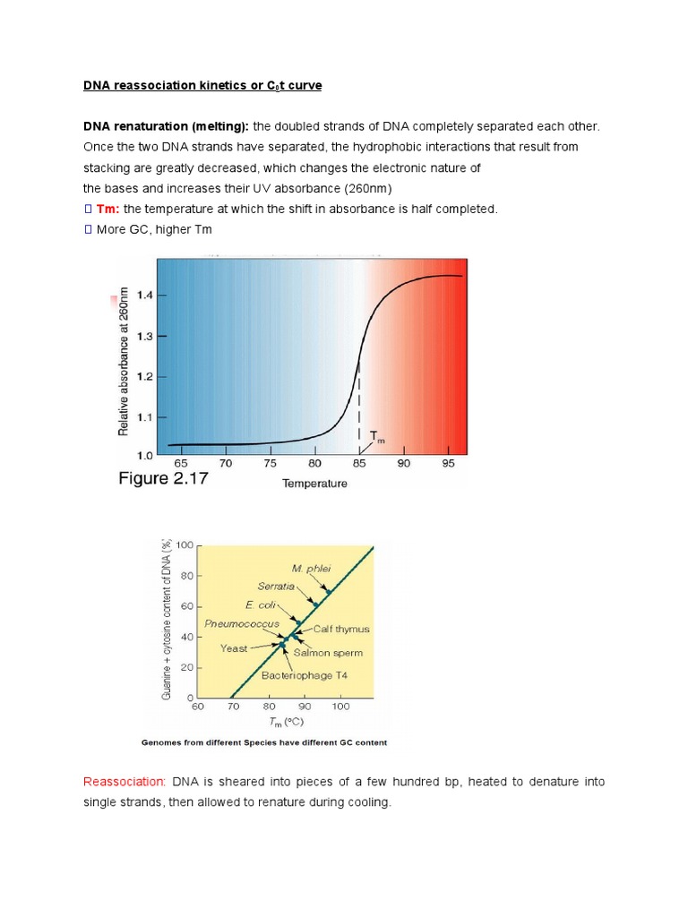 DNA Reassociation Kinetics or C0t Curve | PDF | Teaching Methods ...