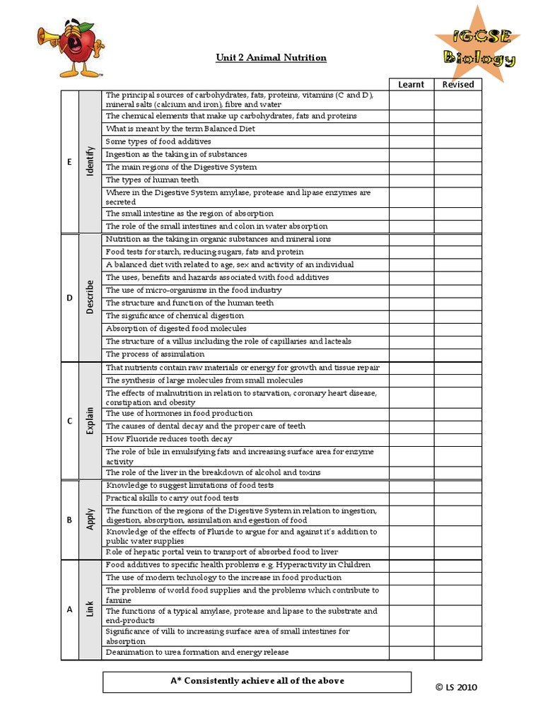 IGCSE Checklist | PDF | Digestion | Human Digestive System