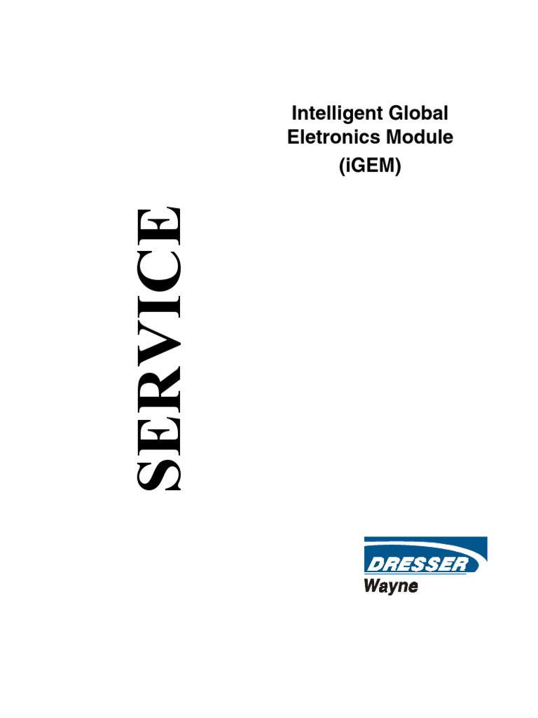 Dresser Wayne Service Manual | PDF | Computer Terminal | Subroutine