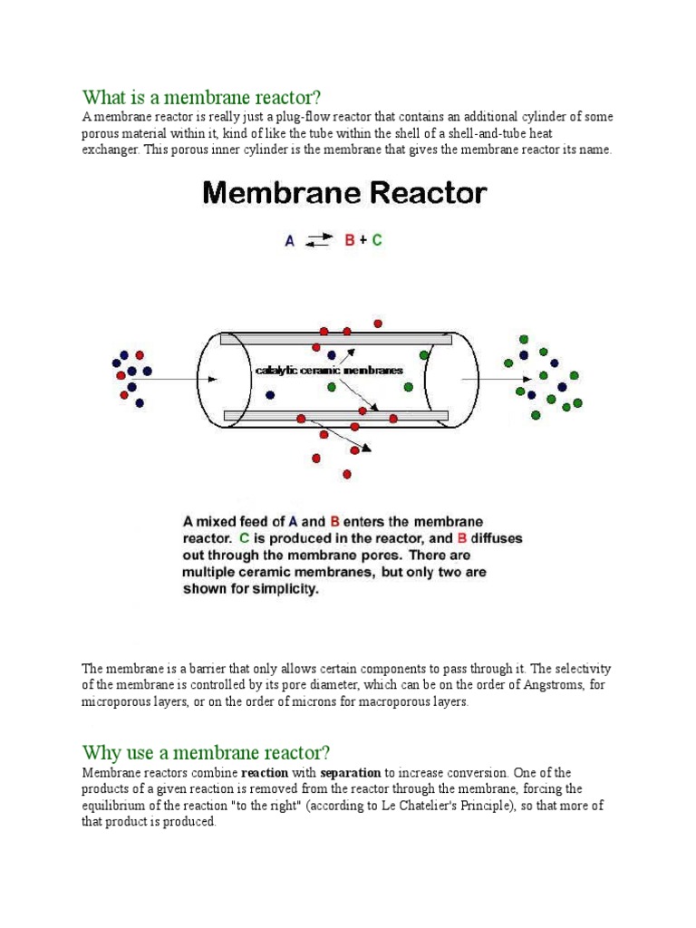 Membrane Reactor | PDF | Chemical Reactor | Catalysis