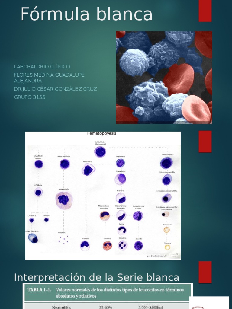 Hemograma 1pdf Leucocito Sistema Inmune
