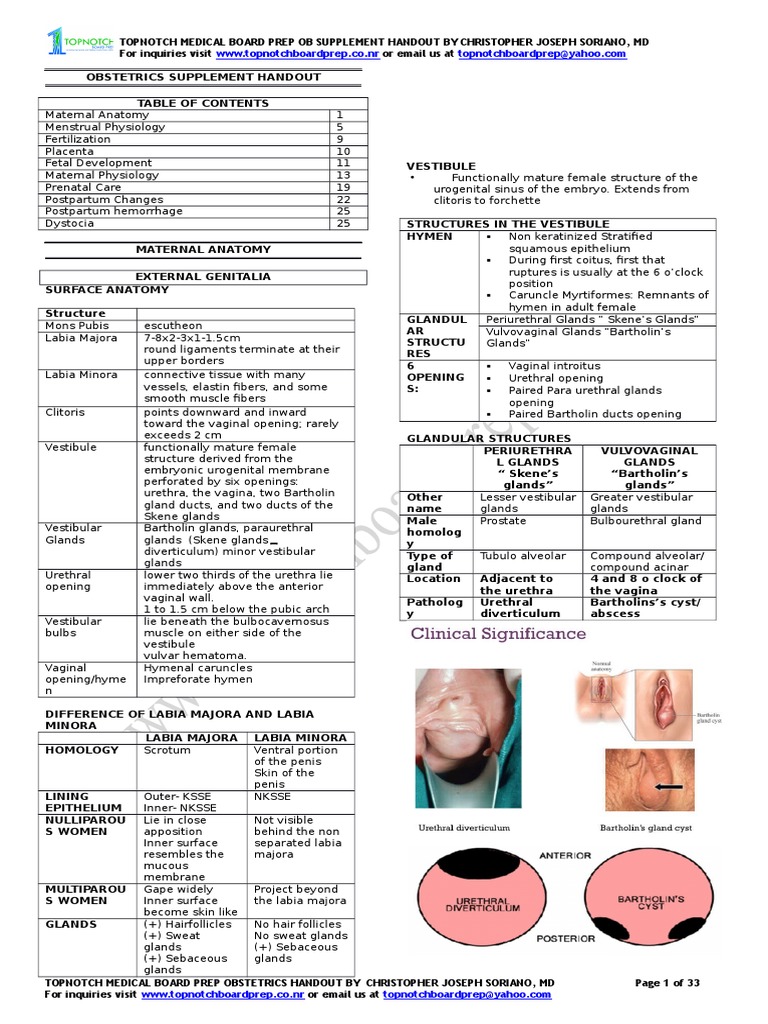 Ob Supplement Handout by DR - Chris Soriano | PDF | Luteinizing Hormone ...