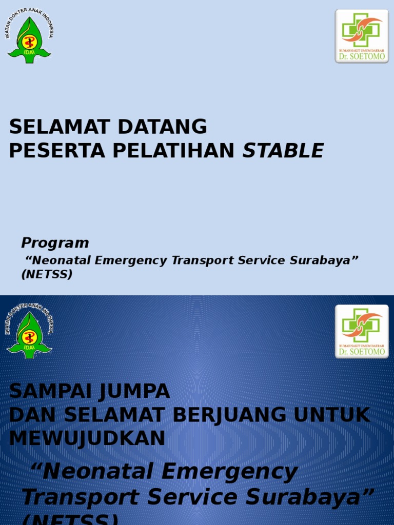 Selamat Datang Peserta Pelatihan Stable: Program | PDF