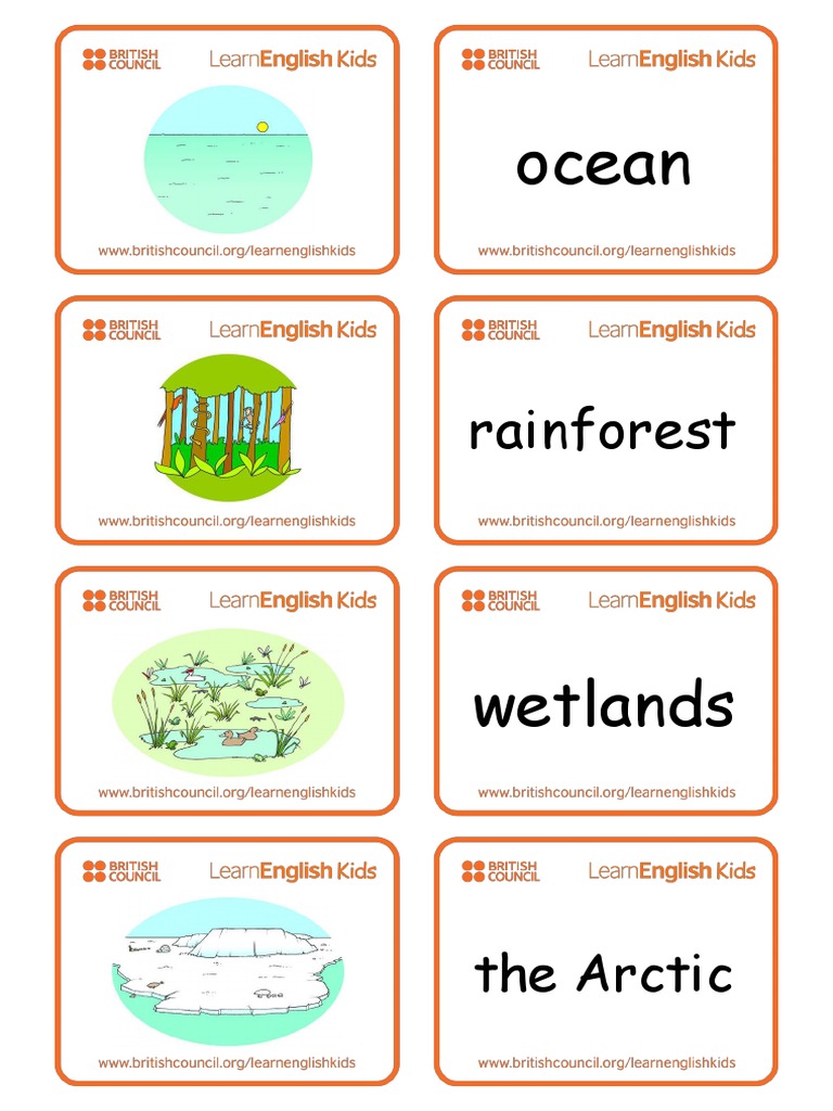 Flashcards Environment | PDF
