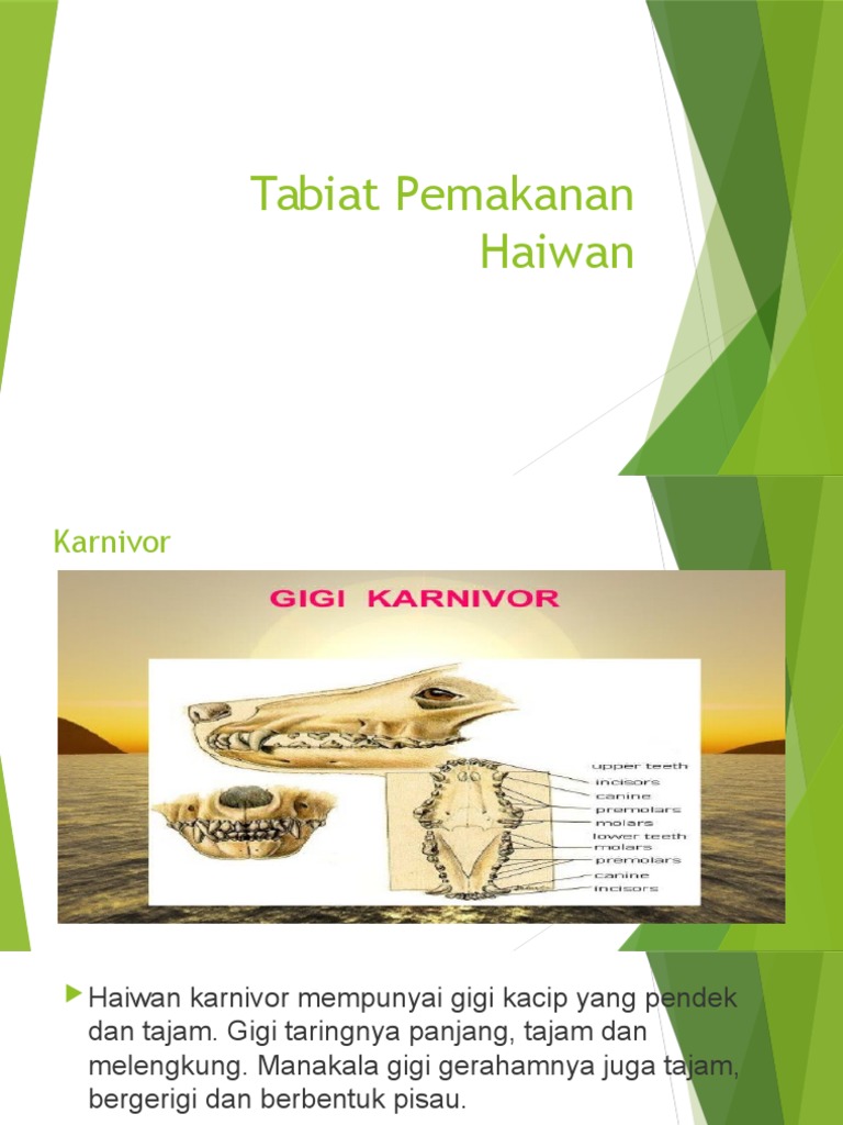 Tabiat Pemakanan Haiwan | PDF