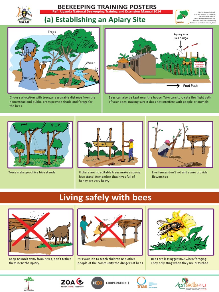 Beekeeping Training Manual for Uganda | PDF | Beehive | Beekeeping