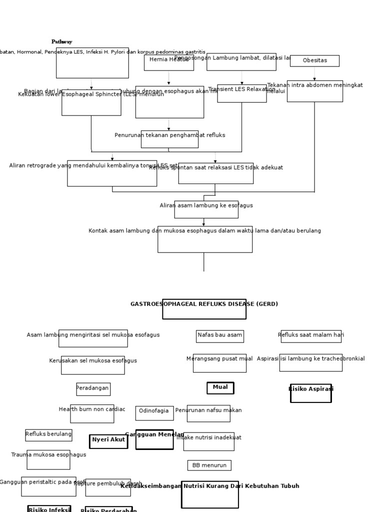 Pathway GERD | PDF | Kesehatan Holistik