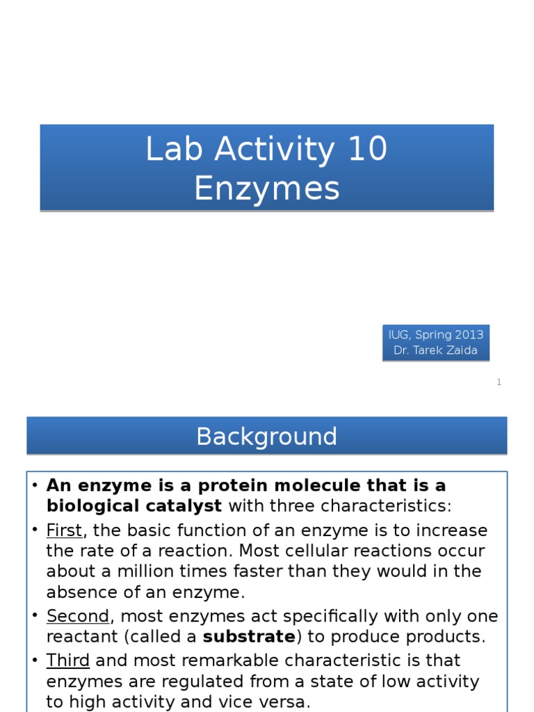 Lab Activity 10 | PDF