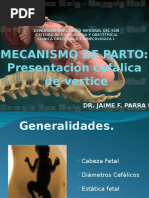 Equipo 3 Formación de La Cavidad Amniótica, Disco Embrionario y ...