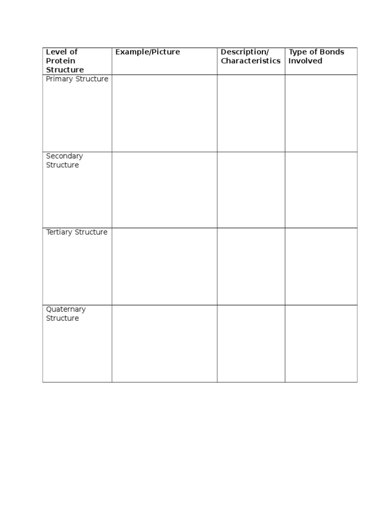 Levels of Protein Structure Table Blank | PDF