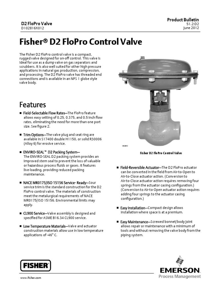 D2 FloPro Control Valve | Download Free PDF | Valve | Actuator