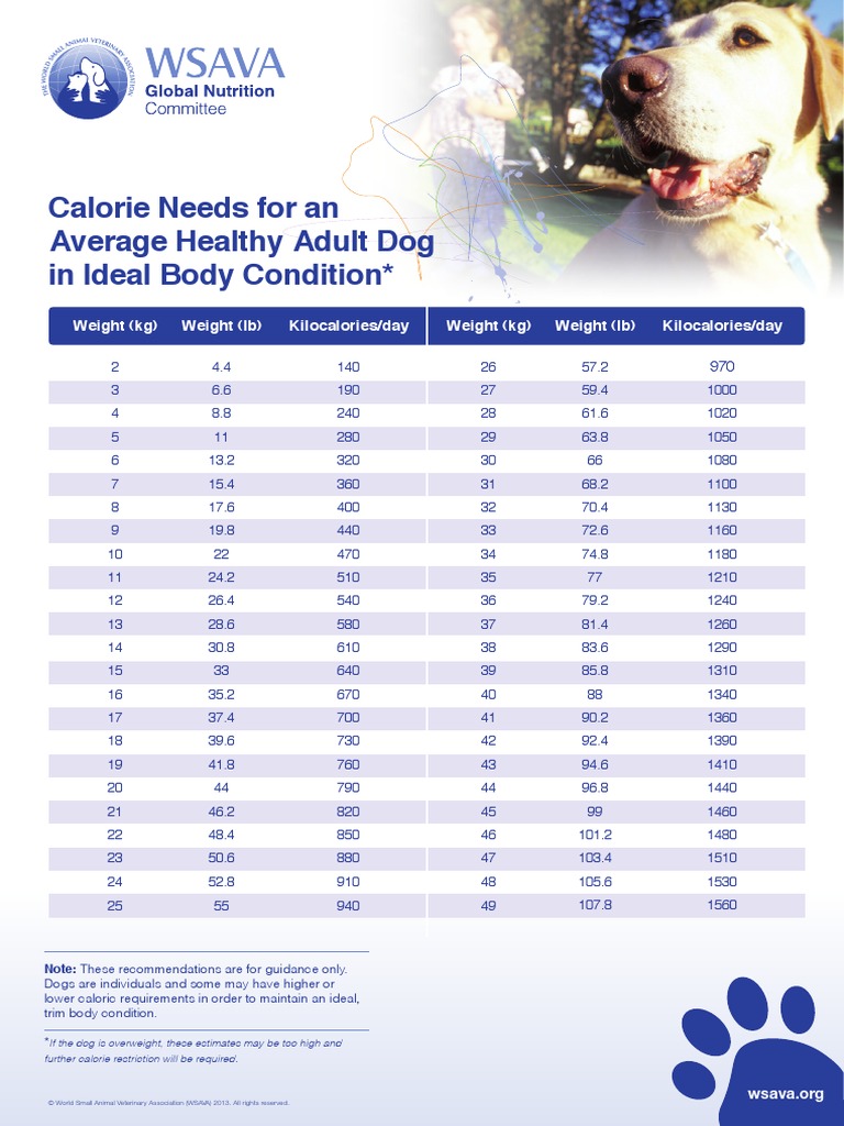 Calorie Requirements Simple Dog PDF | PDF | Cooking, Food & Wine