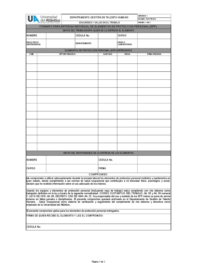 For-th-014-Formato-para Entrega Individual de Elementos de Proteccion Personal (Epp) | PDF ...