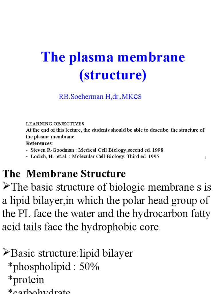 Structure and Function of Plasma Membrane | PDF | Biological Membrane ...