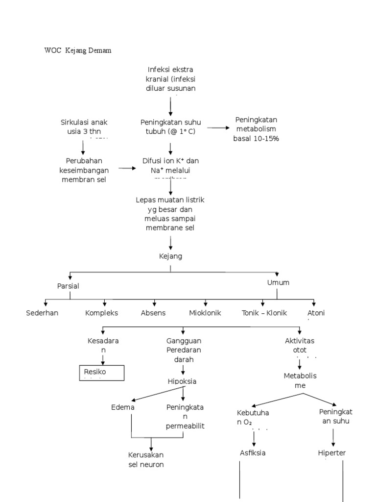 WOC Kejang Demam | PDF