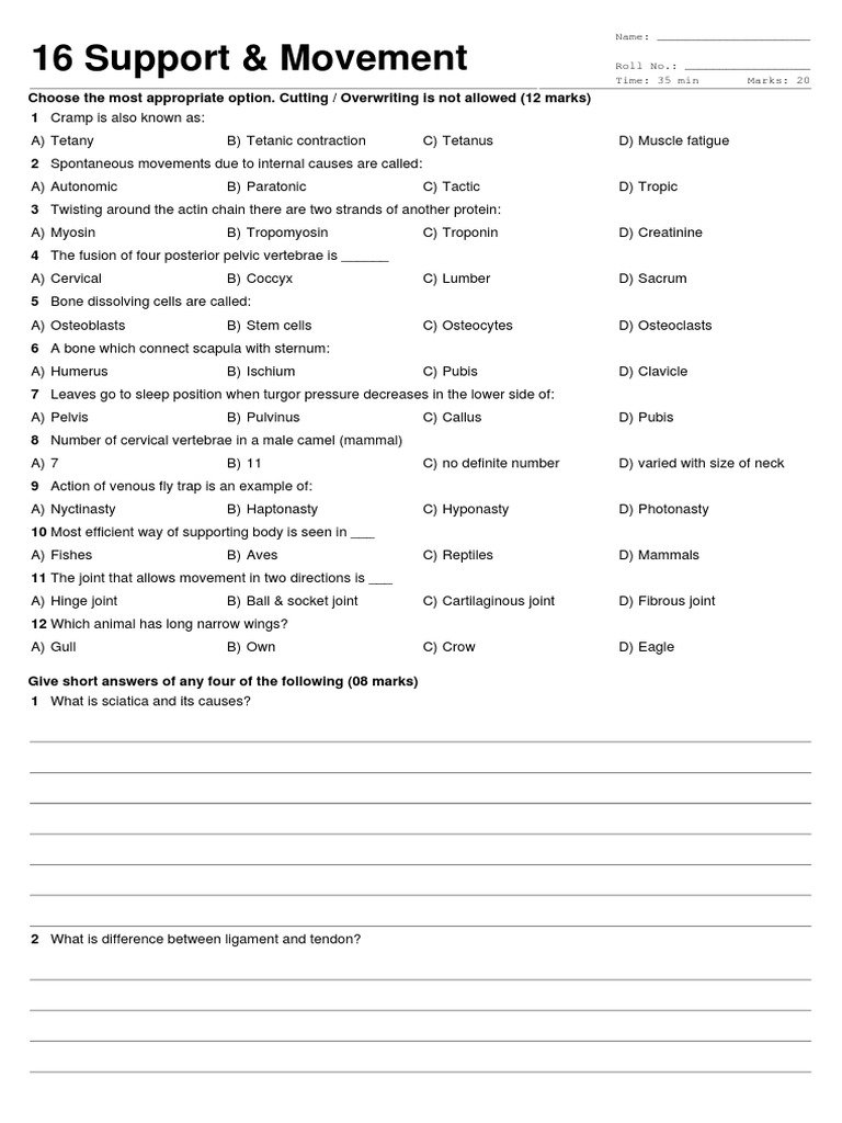 16 Support & Movement: Name | PDF