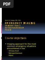 AAST Kidney Injury Grading Scale | PDF | Kidney | Injury