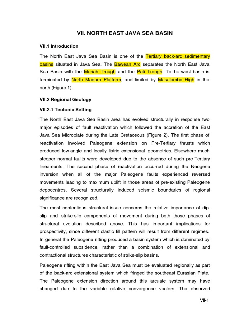 Text North East Java Sea Basin | PDF | Sedimentary Basin | Petroleum ...