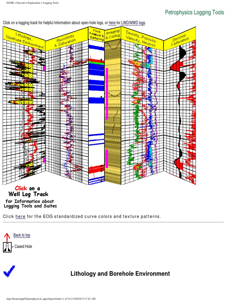 Petrophysics Logging Tools Overview | PDF | Porosity | Chemistry