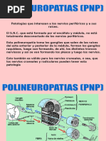 Mapa Mental Polineuropatia y Miopatia | PDF | Nervio | Músculo