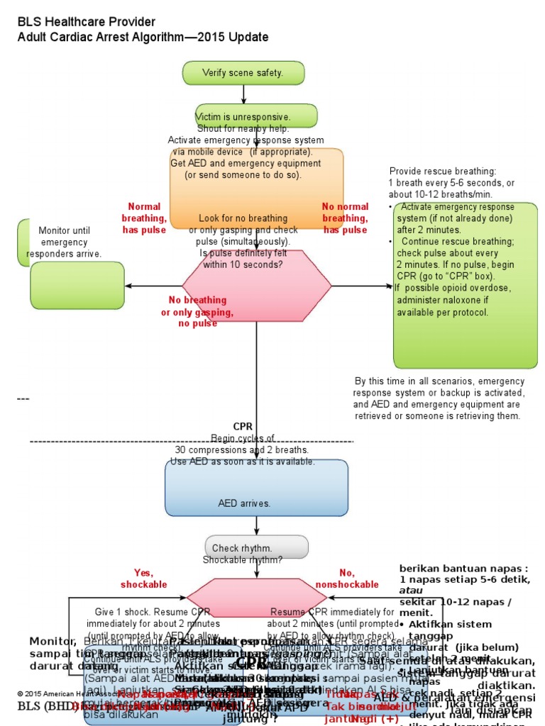 BLS Adult Cardiac Arrest Algorithm 2015 Update | PDF | Cardiopulmonary ...
