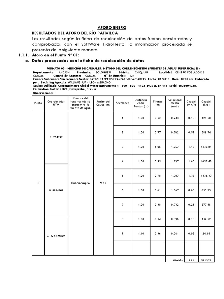 Formato de Aforo | PDF | Business