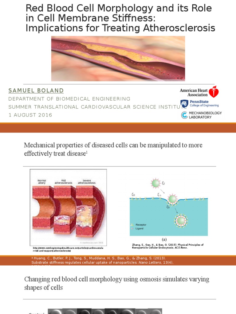 Samuel Boland: Department of Biomedical Engineering Summer Transl ...