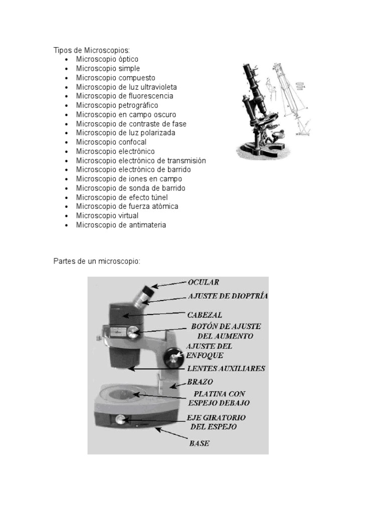 Guía de Tipos de Microscopios | PDF