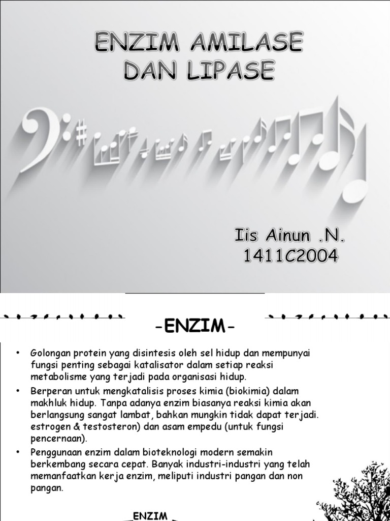 Enzim Amilase Lipase | PDF
