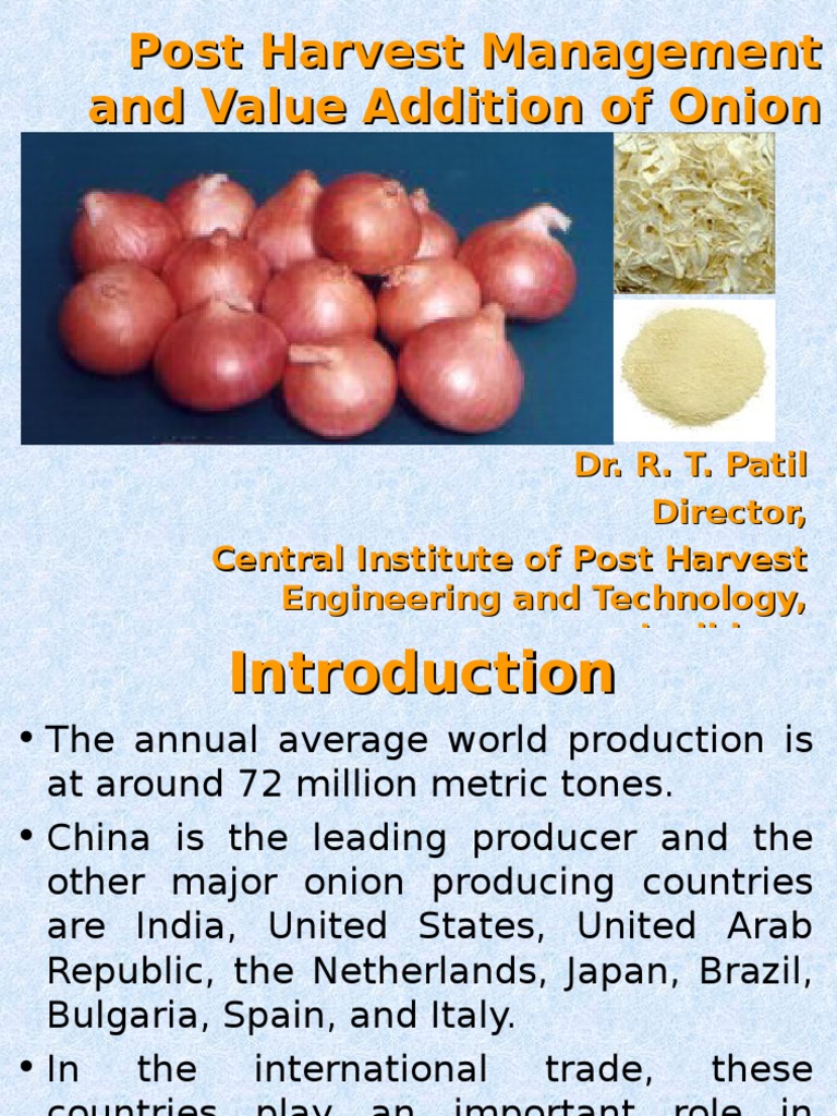 Onion | PDF | Onion | Relative Humidity
