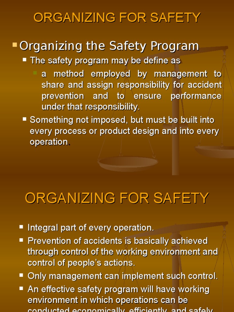 Organizing Safety Program Elements | PDF | Safety | Employment