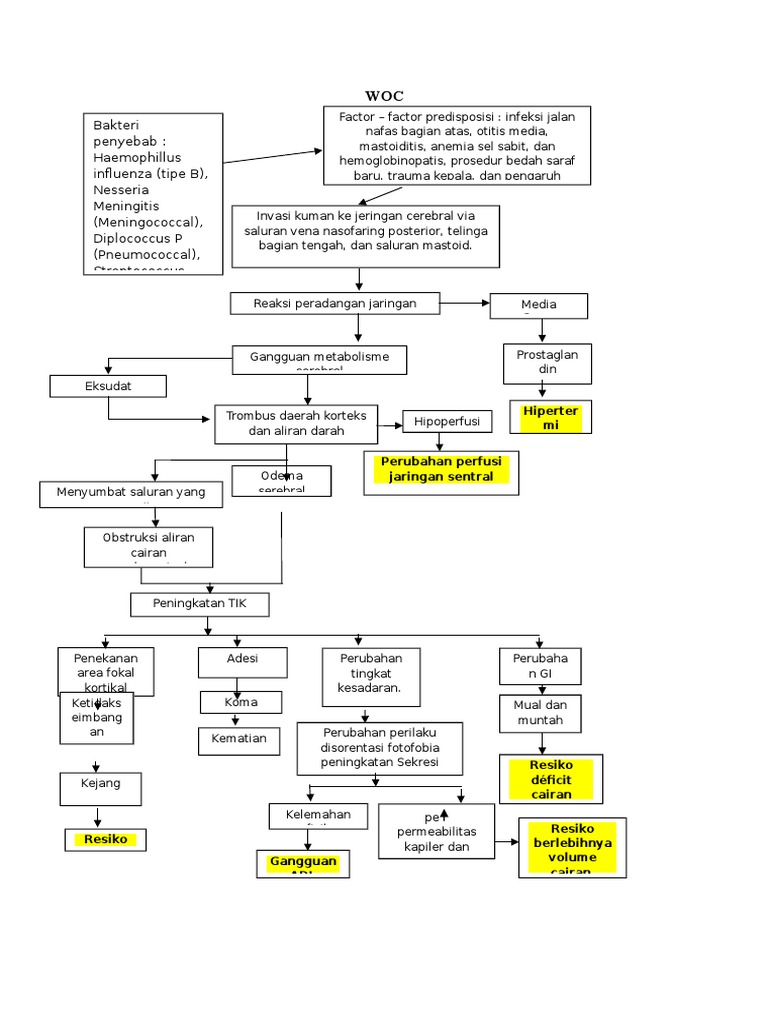 WOC Meningitis | PDF