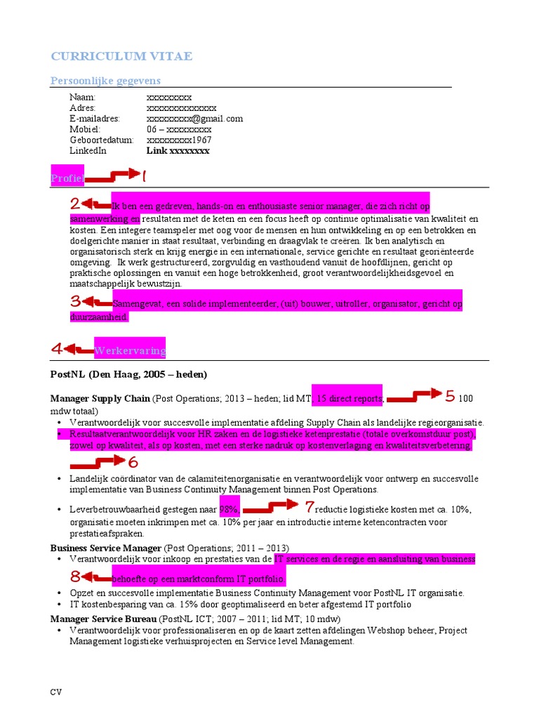 CV Bram Van Utrecht | PDF