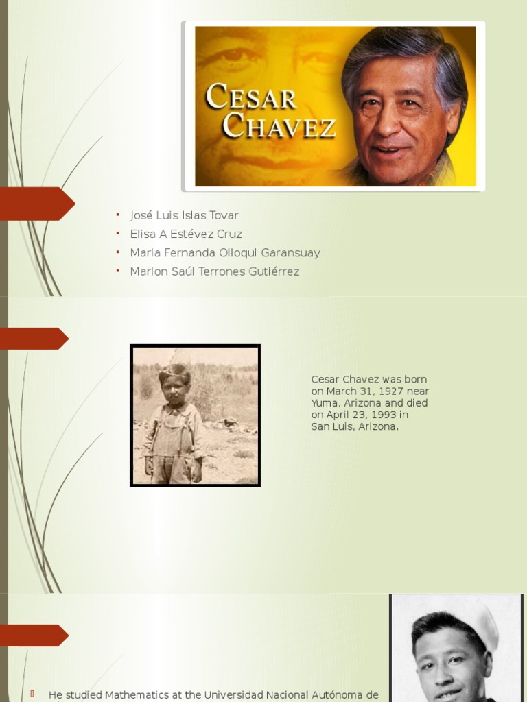 José Luis Islas Tovar Elisa A Estévez Cruz Maria Fernanda Olloqui ...