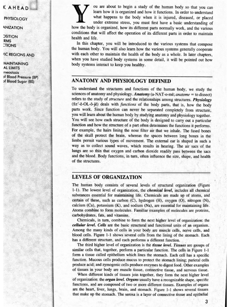 Intro To Human Body Text | PDF