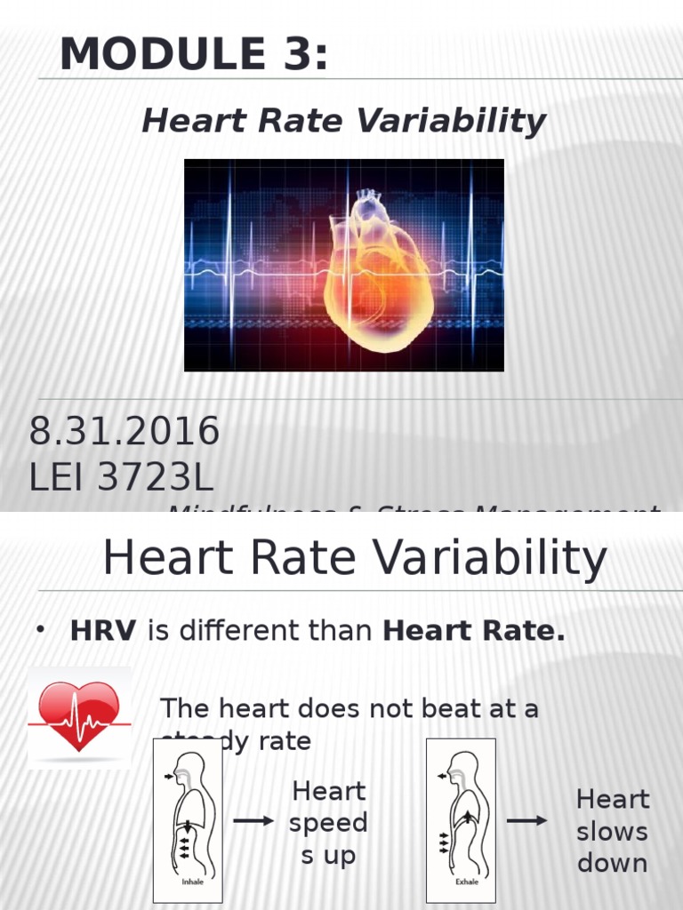 Module 3 - HRV | PDF