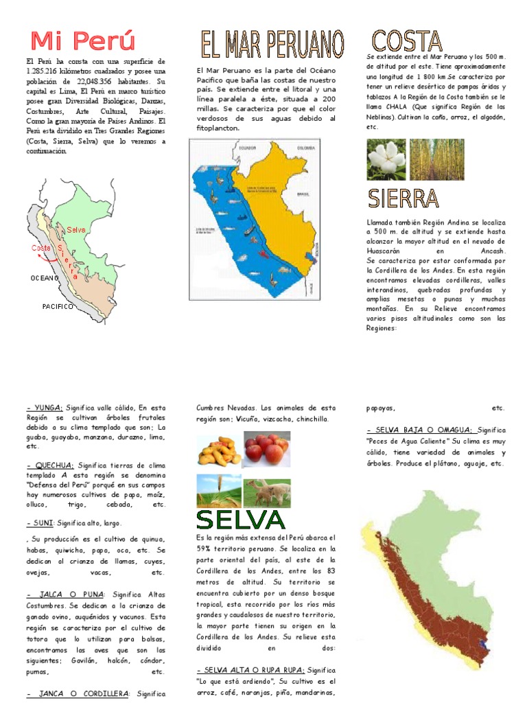 60197080-Triptico-Las-Regiones-naturales-del-Peru-y-sus-recursos-Luz ...