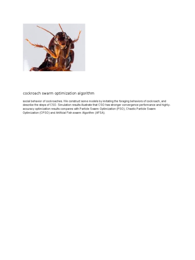 Cockroach Swarm Optimization Algorithm Pdf