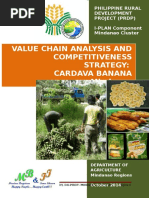 Cassava Value Chain Analysis | PDF | Mindanao | Agriculture