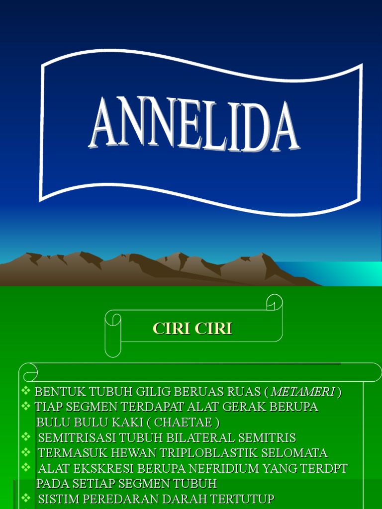 Ciri-Ciri dan Manfaat Annelida | PDF