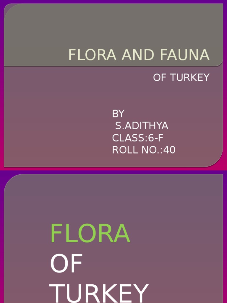 Flora and Fauna | PDF | Turkey | Anatolia
