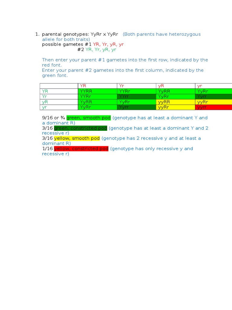 Punnett Square | PDF | Science & Mathematics