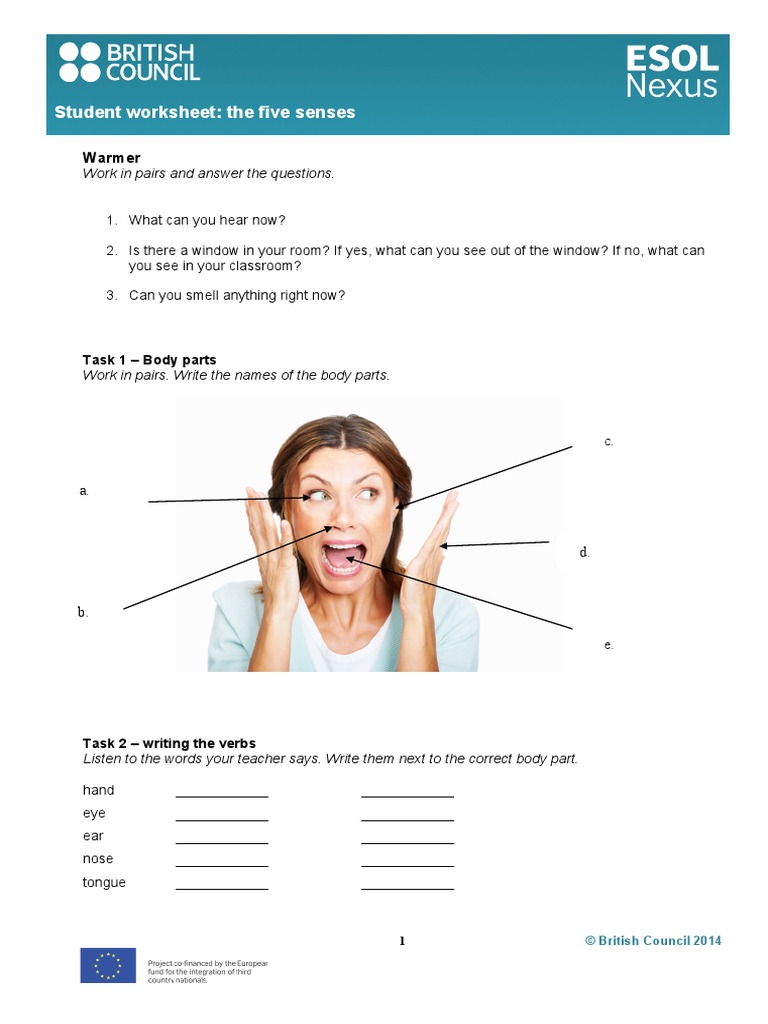 Five Senses Student Worksheet | PDF
