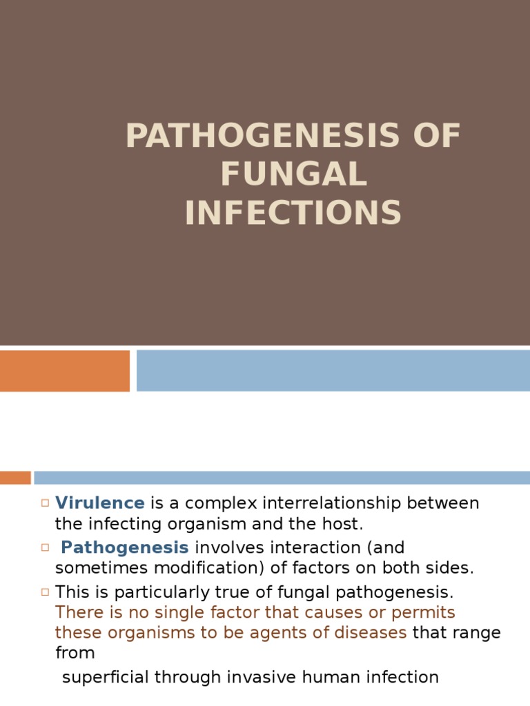 Pathogenesis of Fungal Infections | PDF | Immune System | Fungus