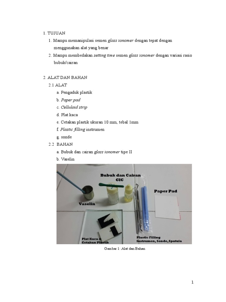 Laporan Praktikum GIC | PDF