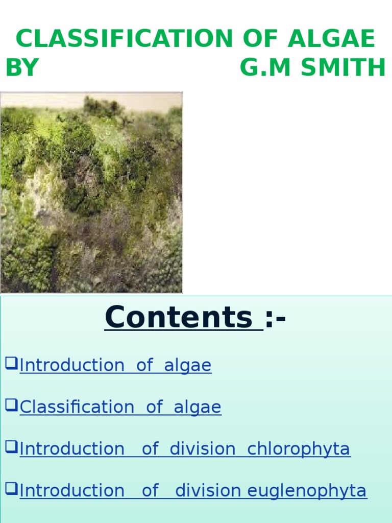 Classification of Algae by G.M Smith | PDF | Science & Mathematics