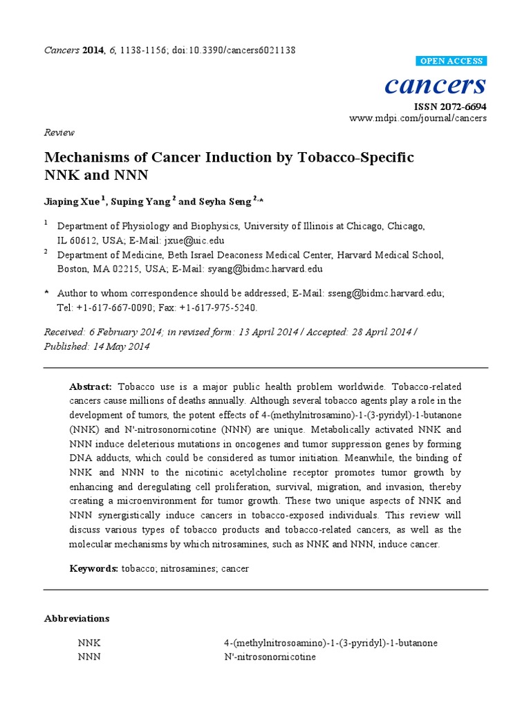 Nitrosamine Induced Cancer | PDF | Carcinogen | Carcinogenesis
