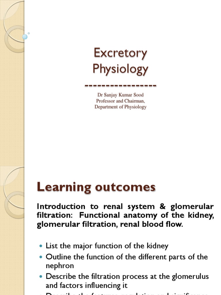 Renal Lecture 1 Pdf Pdf Kidney Abdomen